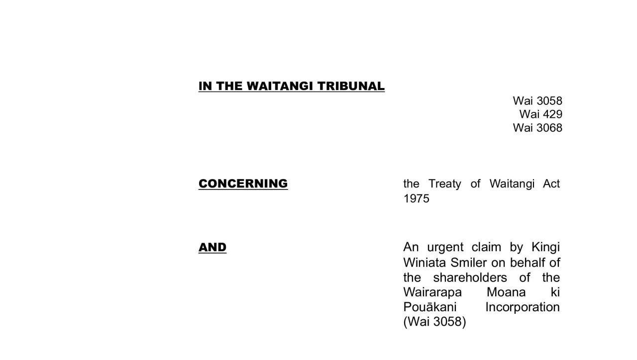 Treaty Claims News - Wairarapa Moana